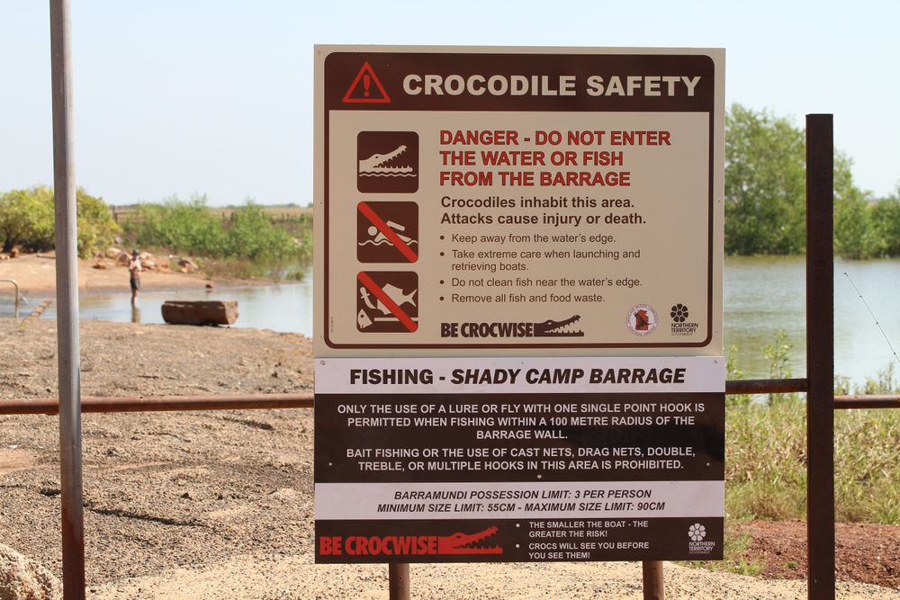 Crocodilian Warning Signs